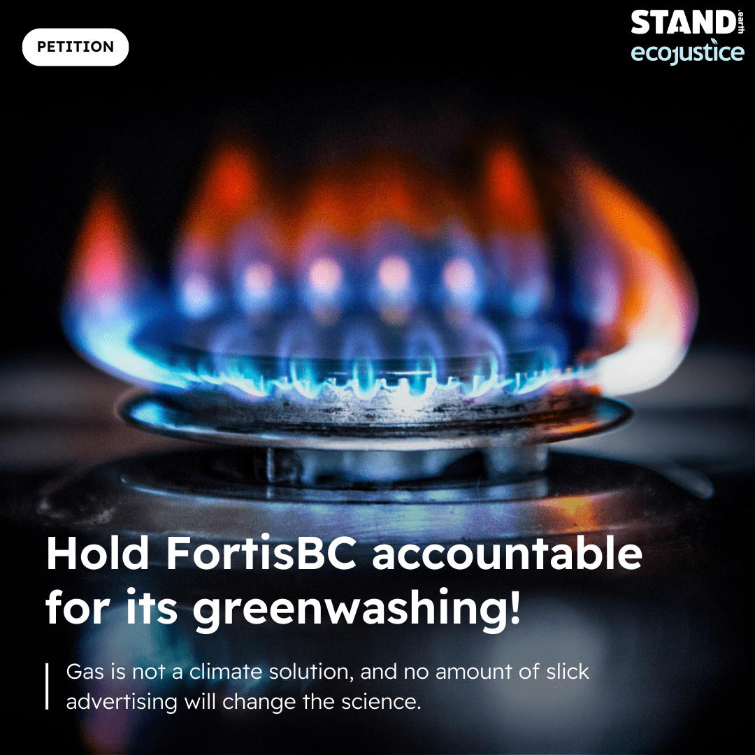 Greenwashing 101: How Companies Spin Sustainability - Stand.earth